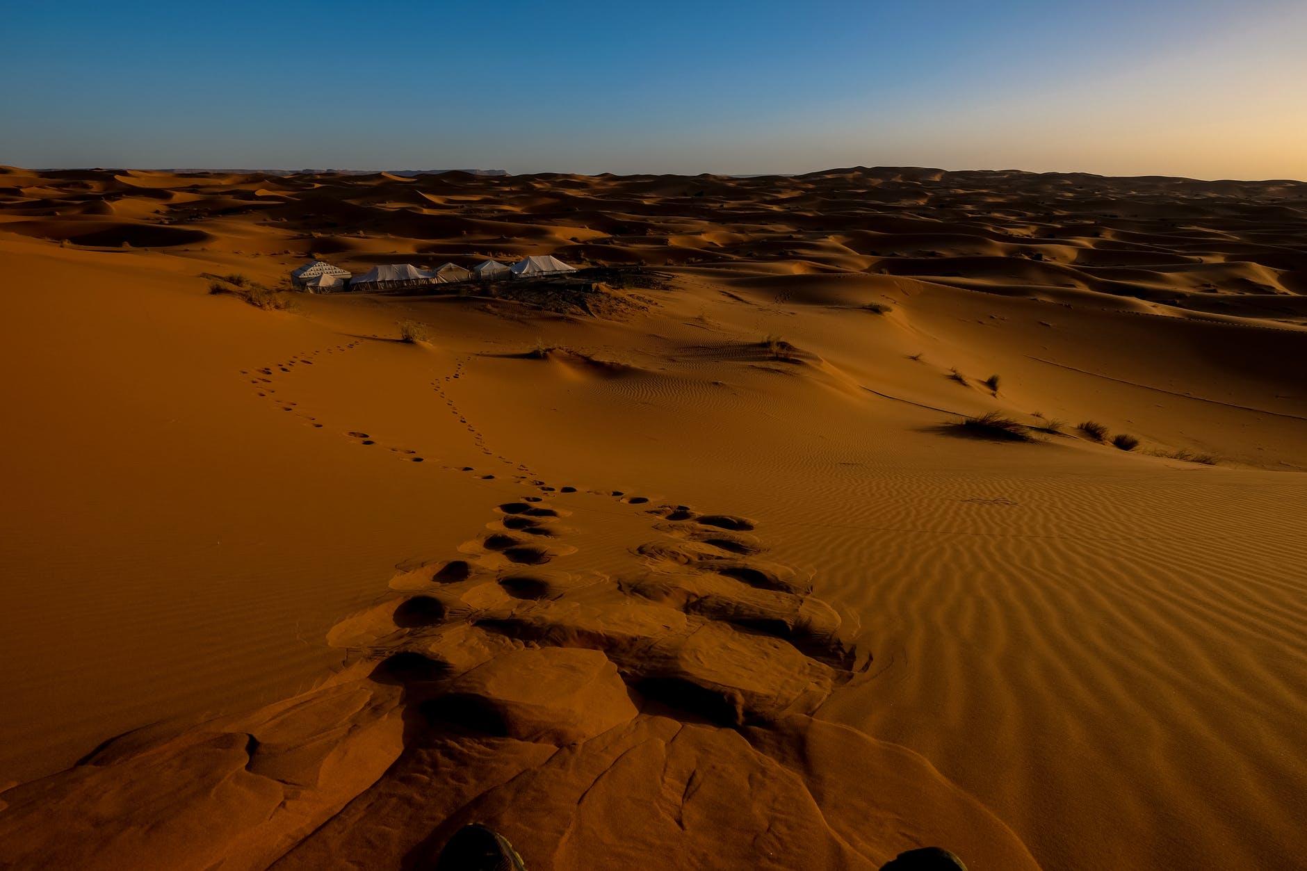 Blue Dragons Pt. 2 – The TTRPG Factory