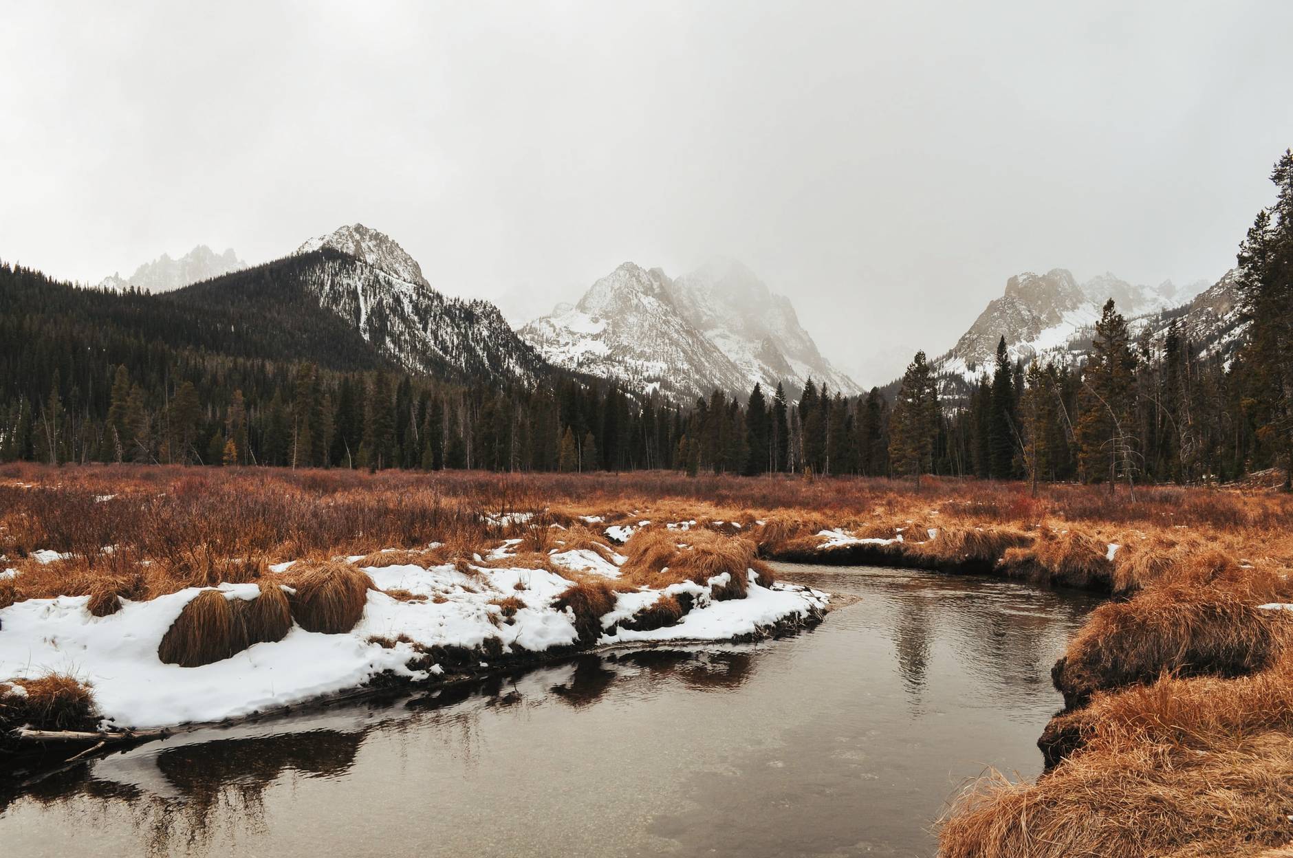 White Dragons Pt. 2 – The TTRPG Factory